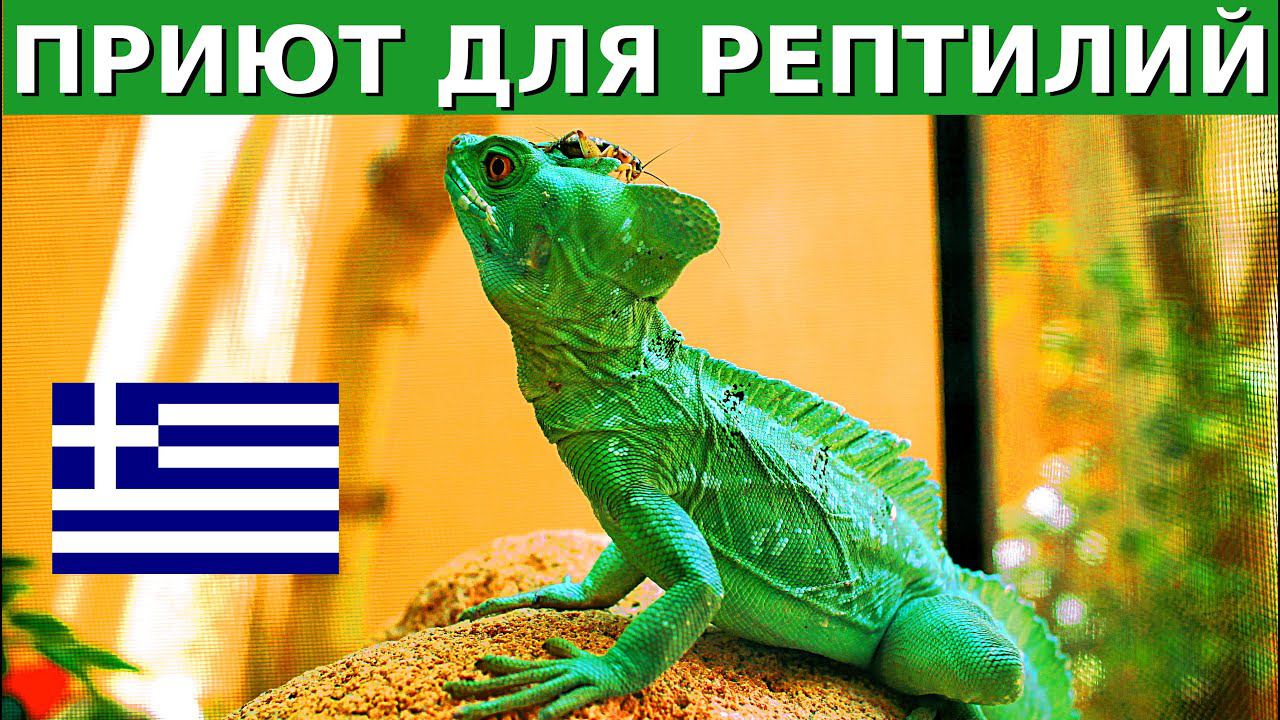 Aquaworld - обязательно посетить на Крите!