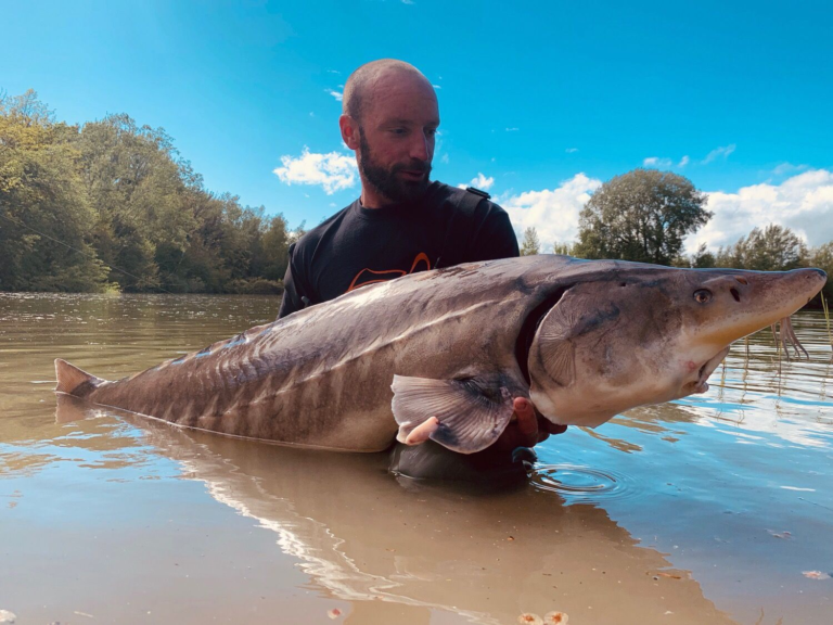 292.На Белугу со спиннингом.mp4