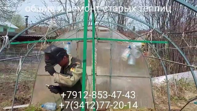 Обшив и ремонт старых теплиц в г. Ижевске СНТ ' Нефтяник  1' +7912-853-47-43 или +7(3412)77-20-14
