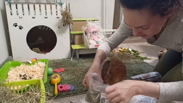 Ирискин получил подарки