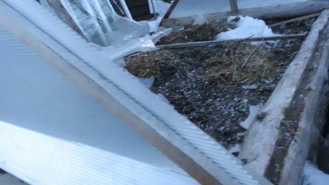 Весна пришла, огородные дела начались, НИЧЕГО НЕ УСПЕВАЮ_1