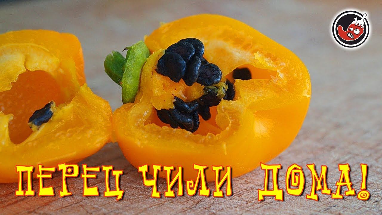 Отчет по перцам, ну и как там всё