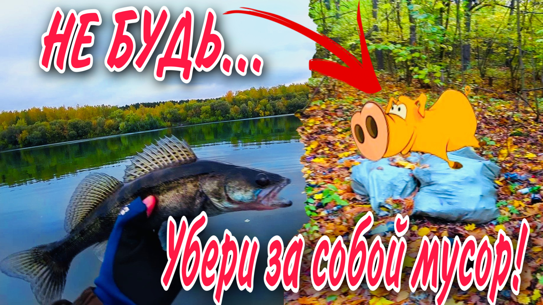 НЕ БУДЬ СВИНЬЕЙ-УБЕРИ ЗА СОБОЙ! Рыбалка на оке осенью Ловля на спиннинг