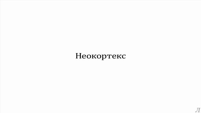 5.2 Сознание. Неокортекс