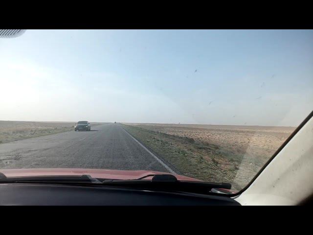 Дагестан - 2021. Степь.