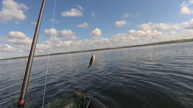 ВОТ ЭТО ДА ДОЛБАНУЛ ОКУНЬ НА ВЕРТУШКУ ЧУТЬ СПИННИНГ НЕ ВЫЛЕТЕЛ ОТ УДАРА, НЕ ЗНАЛ ЧТО ТАКИЕ БОЛЬШИЕ Б