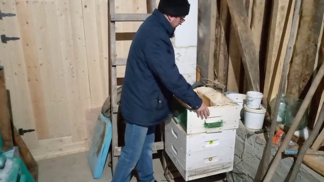 Нуклеусы на пасеке.mp4