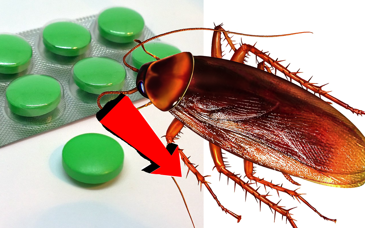 Как быстро избавиться от тараканов За 3 Секунды!!!