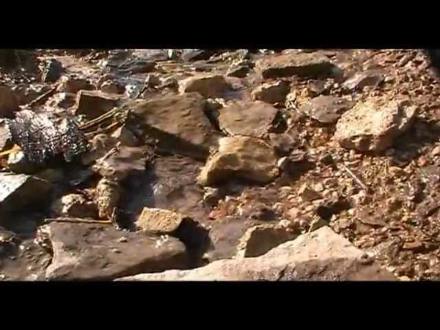 Алексеевка. Бавлы