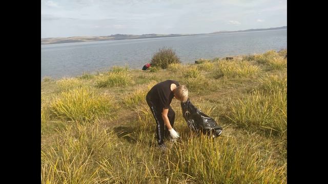 Всемирный день чистоты