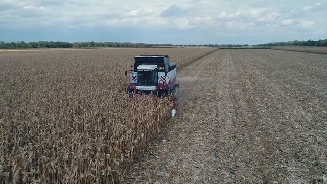 Уборка кукурузы