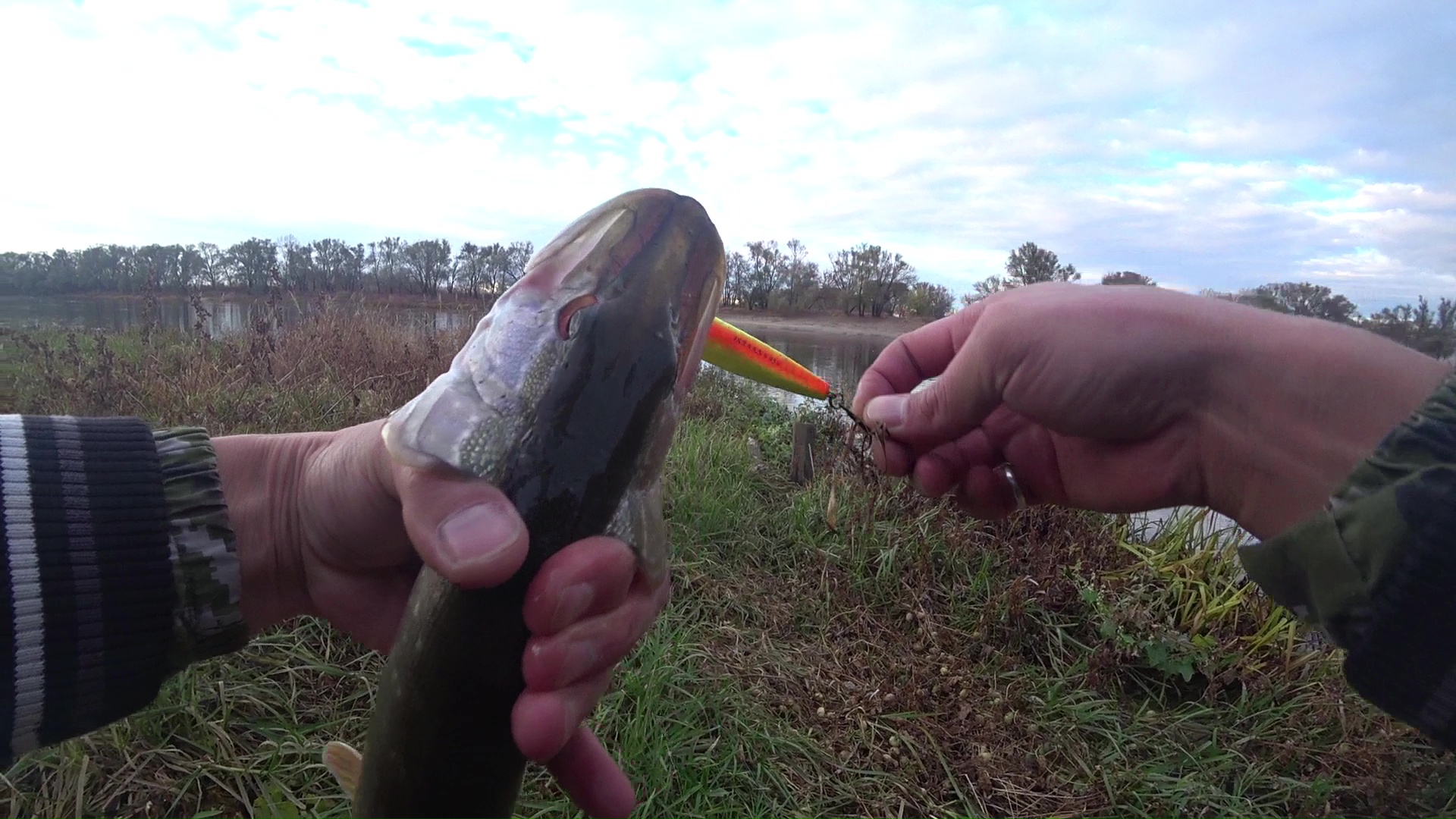 Выехал на р.Дон протестить камеру и заодно порыбачить на спиннинг (19.10.2020)