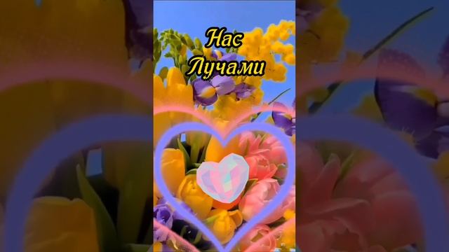 lv_0_20220413230453.mp4