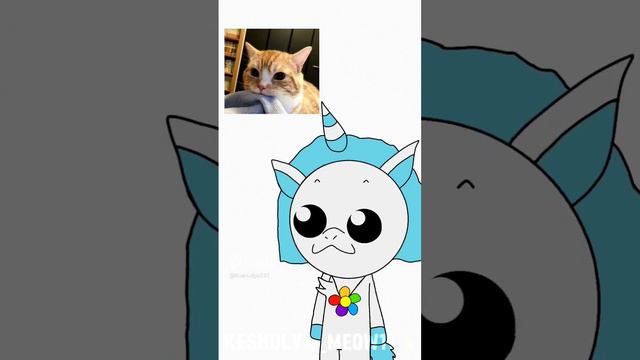 cats memes and smiling critters🐱_улыбашки_#youtube #capcut #flipaclip #animation #shorts