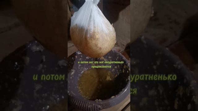 Стекает забрус. То, чем пчёлы запечатывают мёд в сотах