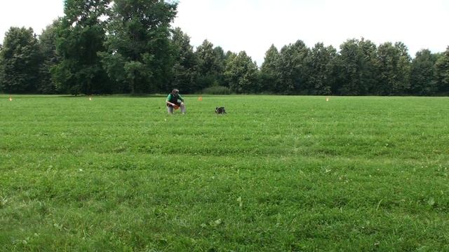 Кубок Клуба 2017 Татьяна и Чижик.mp4