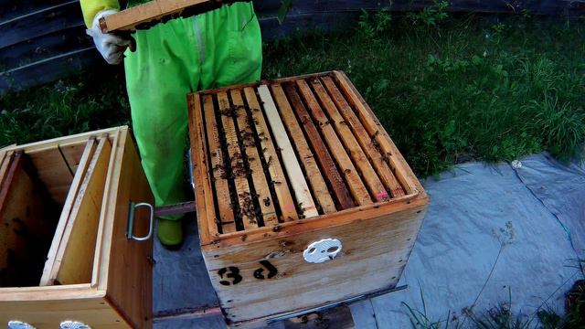 2023_0708_172855_100