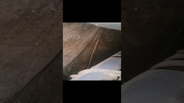 поилка для перепелов