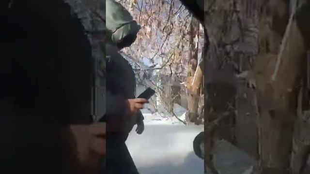 Пропадают таланты))