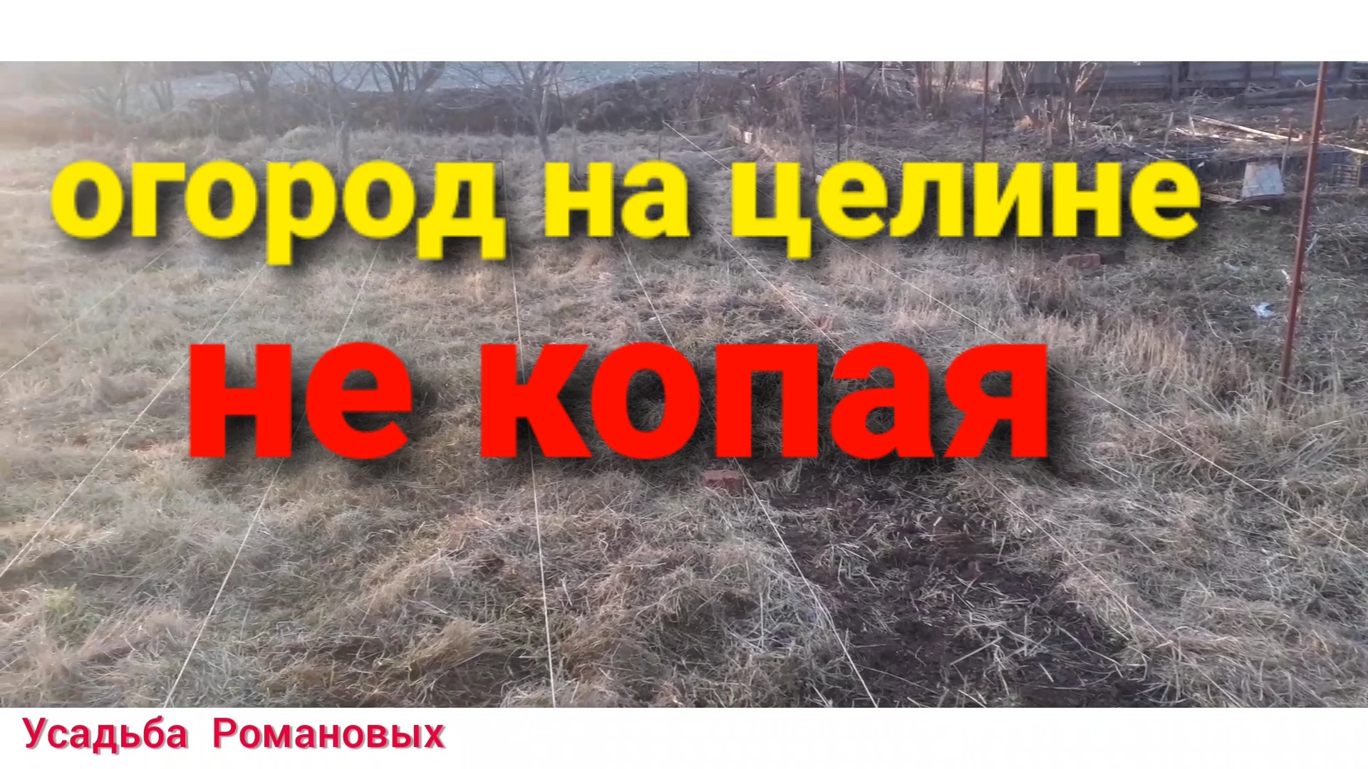 Грядки на целине