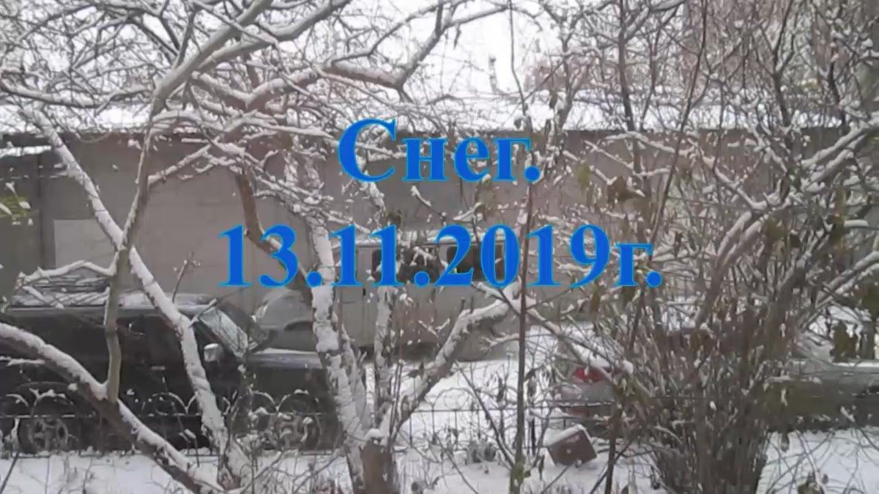 Снег. 13.11.2019г.