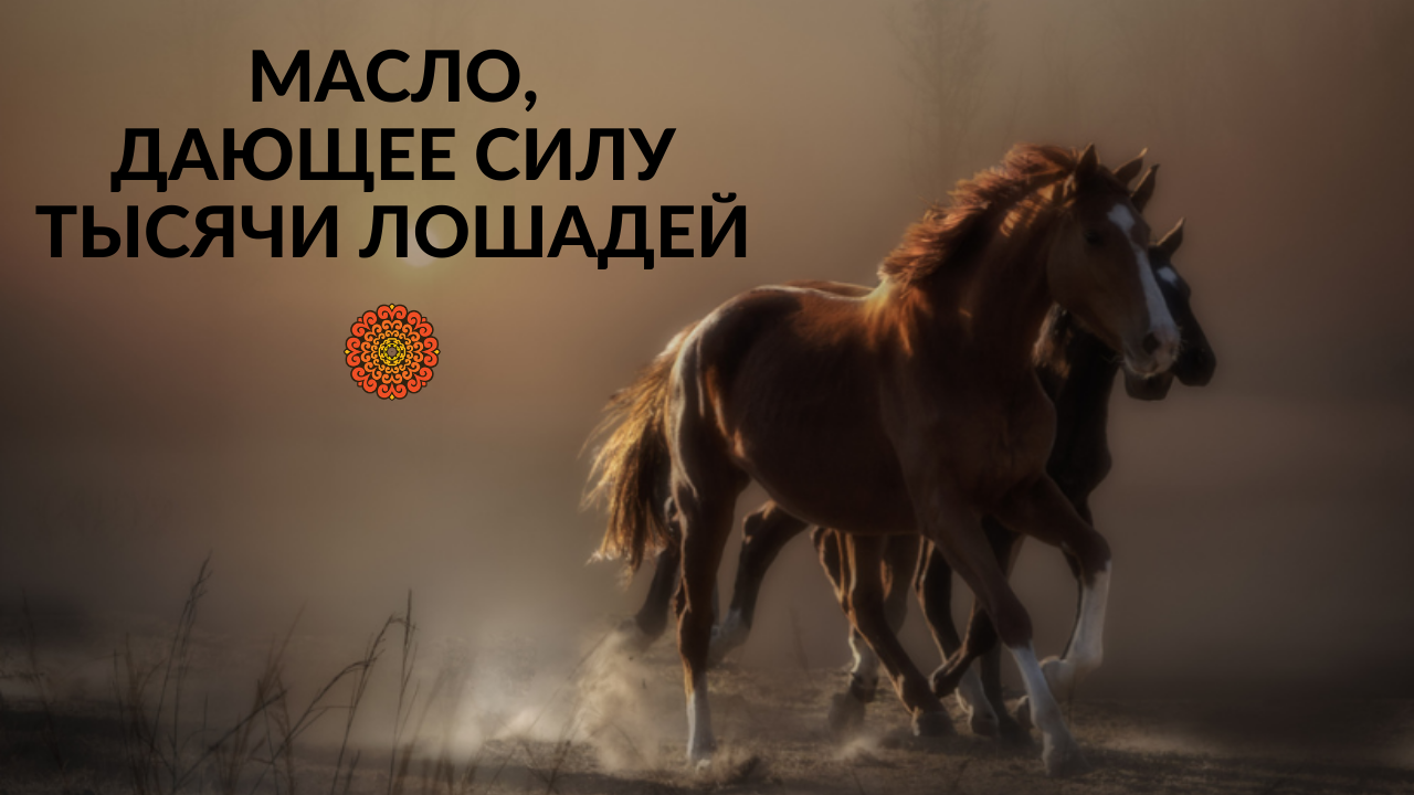 Масло, дающее силу тысячи лошадей