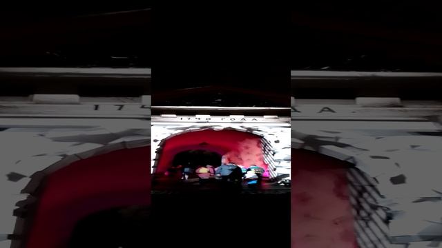 Световое шоу на Иоанновских воротах