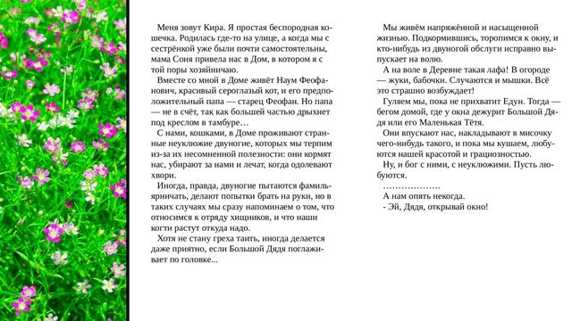 Меня зовут Кира.mp4