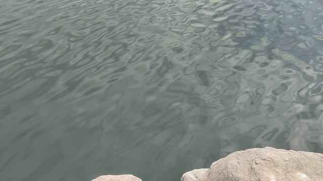 УПАЛ С КАМНЕЙ В ВОДУ ВО ВРЕМЯ РЫБАЛКИ, СИЛЬНО ОБМЕЛЕЛО АРГАЗИНСКОЕ ВОДОХРАНИЛИЩЕ