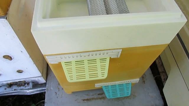 нуклеус для облета маток от фирмы BienenHaus на высоту рамки 230 мм - часть 5 - заселяю нуклеус.