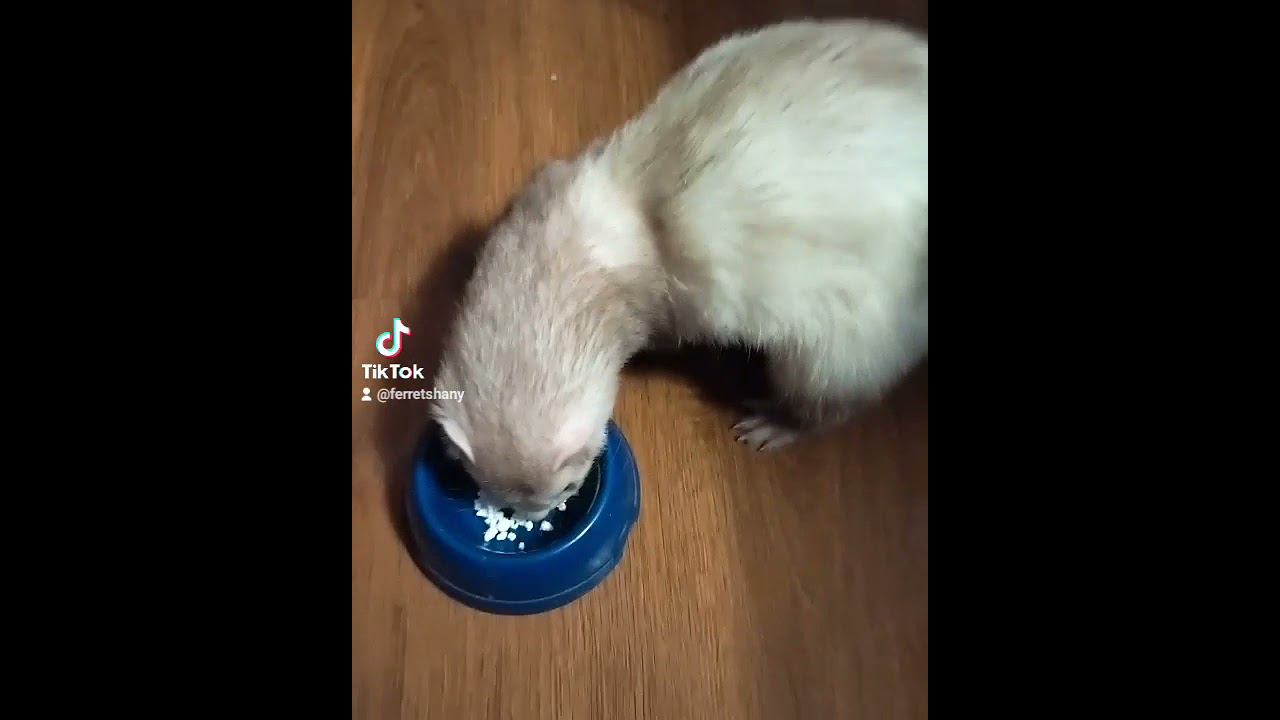 вкусные амнямнямочки