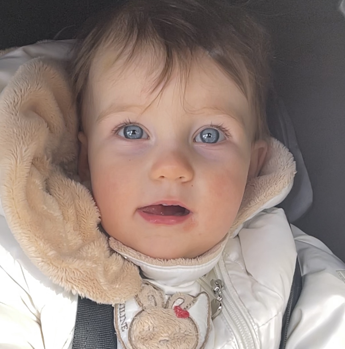 Маленький тигр 🐯