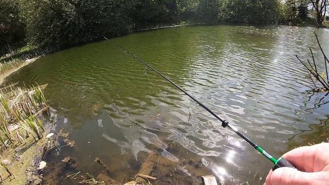 Мормышинг. Разведка карасино-ротаньего прудика