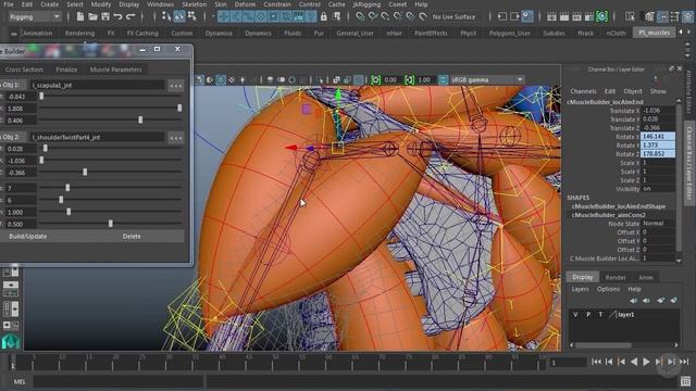 02 18 Building Scapula Muscles