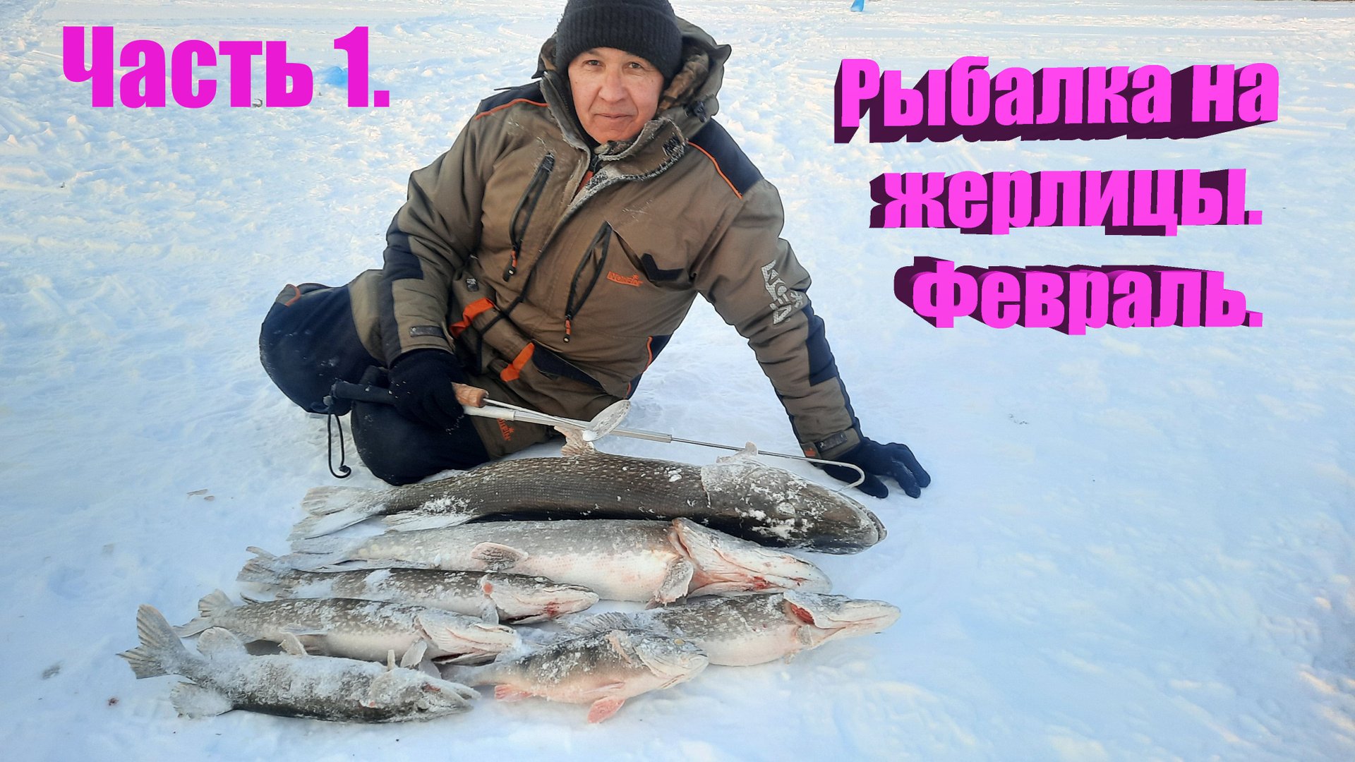 Щука на жерлицы. Февраль. Часть 1.