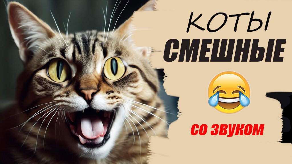 Попробуй не рассмеяться | Ржачные ПРИКОЛЫ С КОТАМИ! | Очень смешные котики