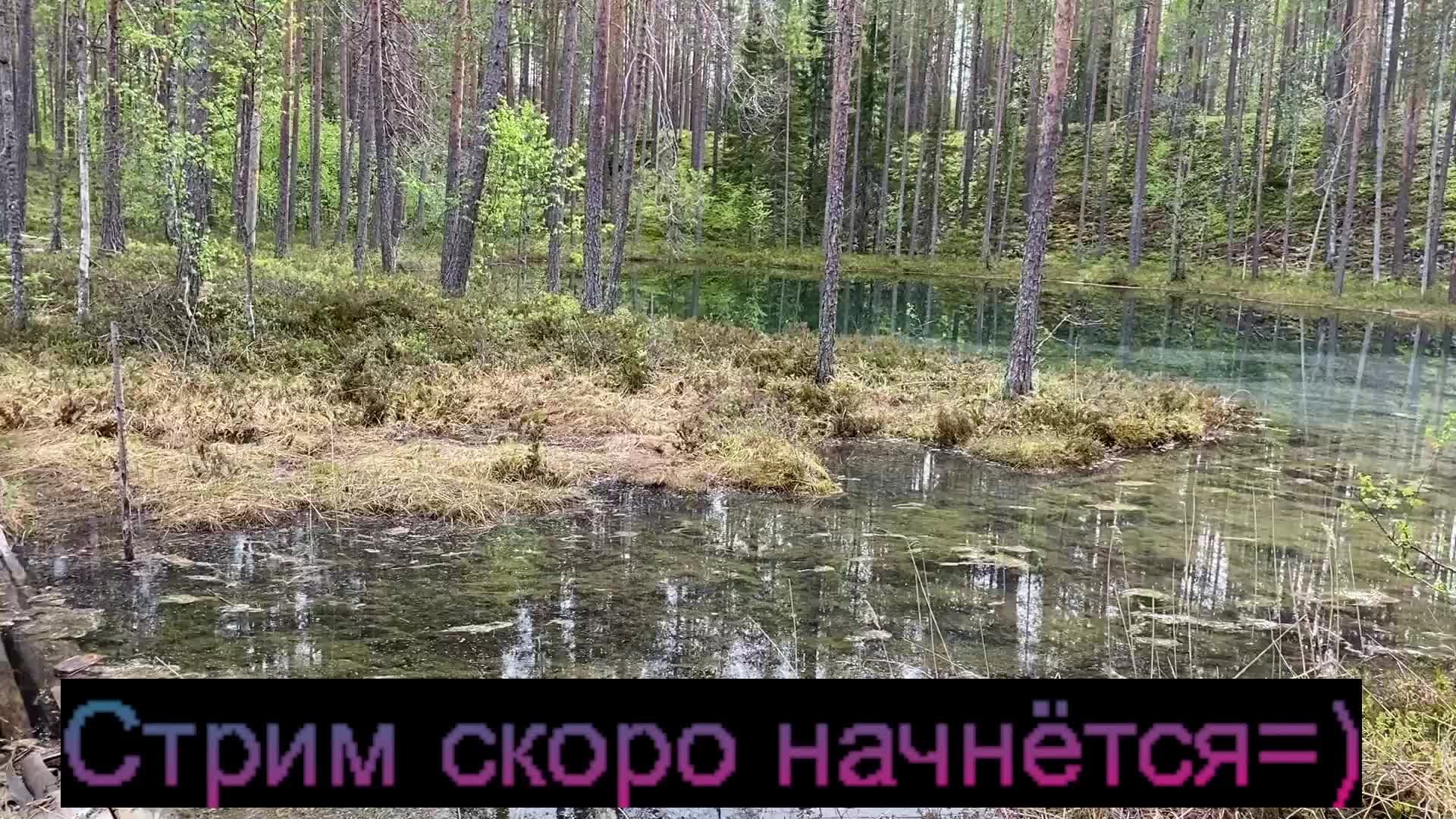 Ночной забег в Farlight 84 с ноута=)