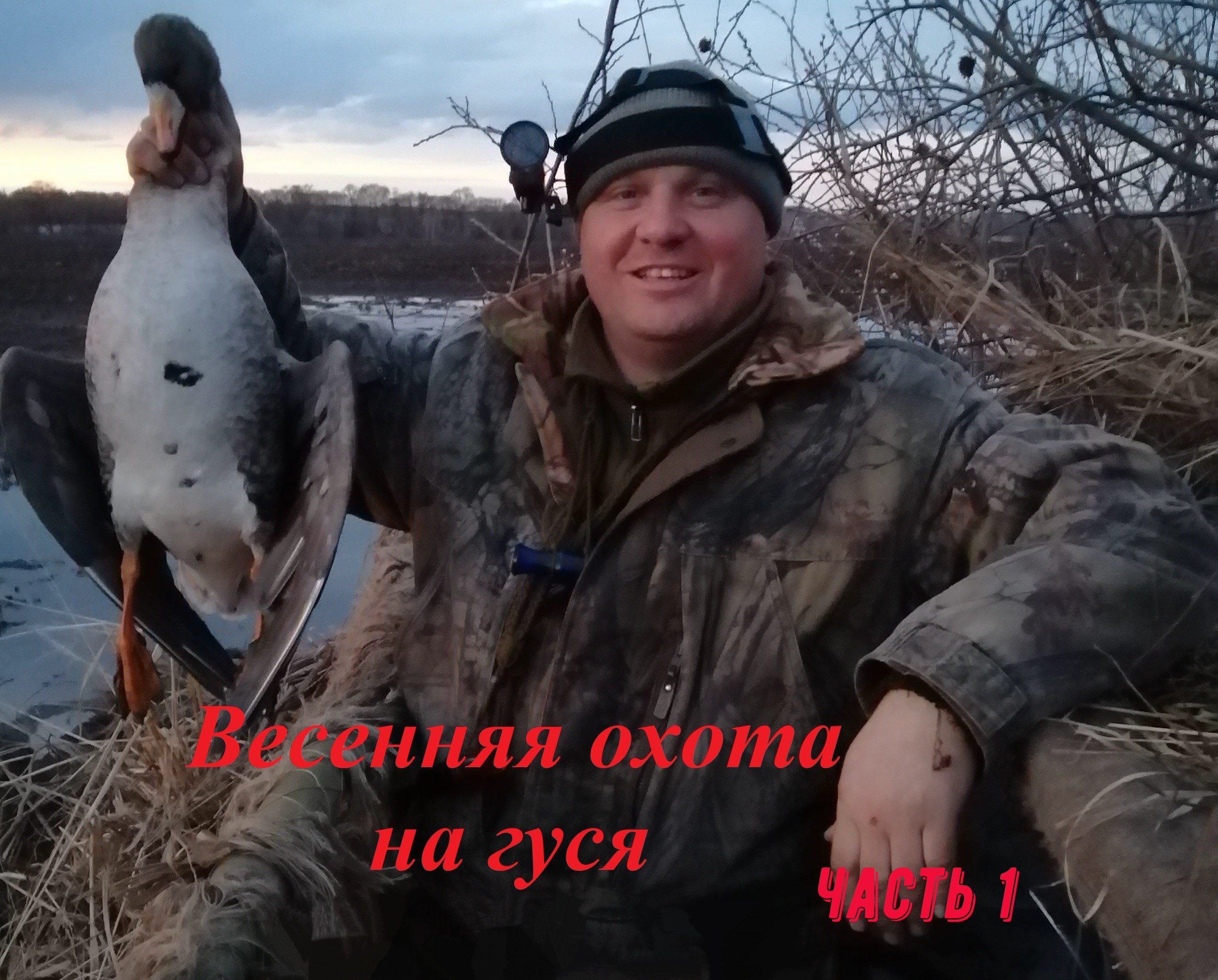 Охота на гуся. Попали на массовый пролет гуся. Spring goose hunting, mass passage. ч.1