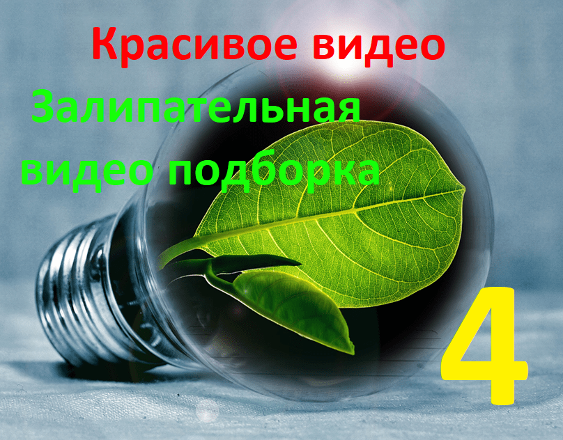 Красивое видео / Залипательная видео подборка #4