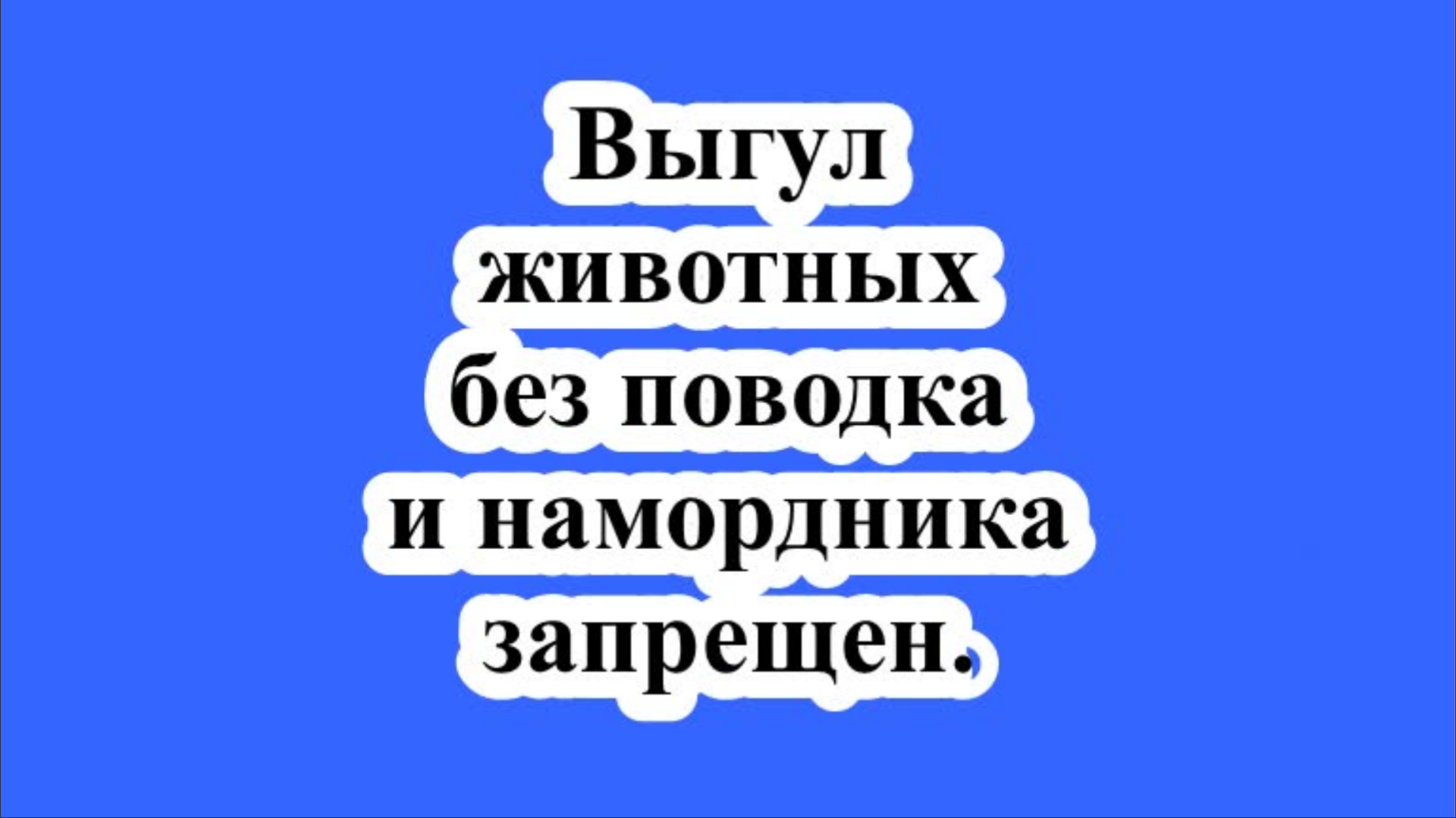 Выгул животных без поводка и намордника запрещен.