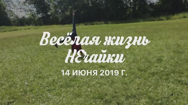 Весёлая жизнь Нечайки