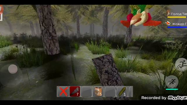 Побег от тимохи