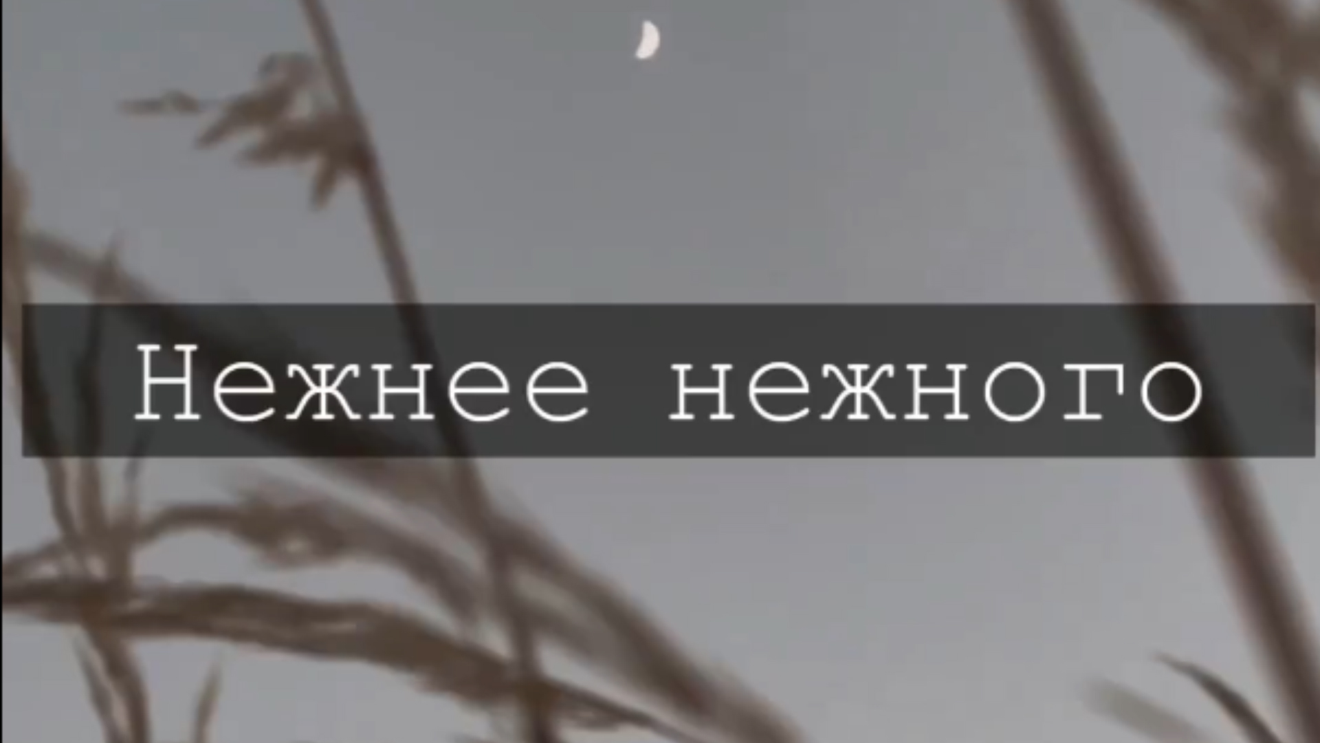 Нежнее нежного | Автор стихотворения: Осип Мандельштам | Читает: Максим Макаревич