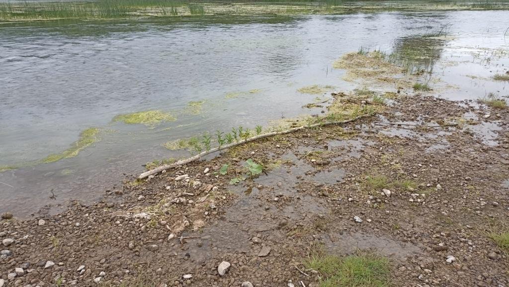 В природе жизнь бьет ключом