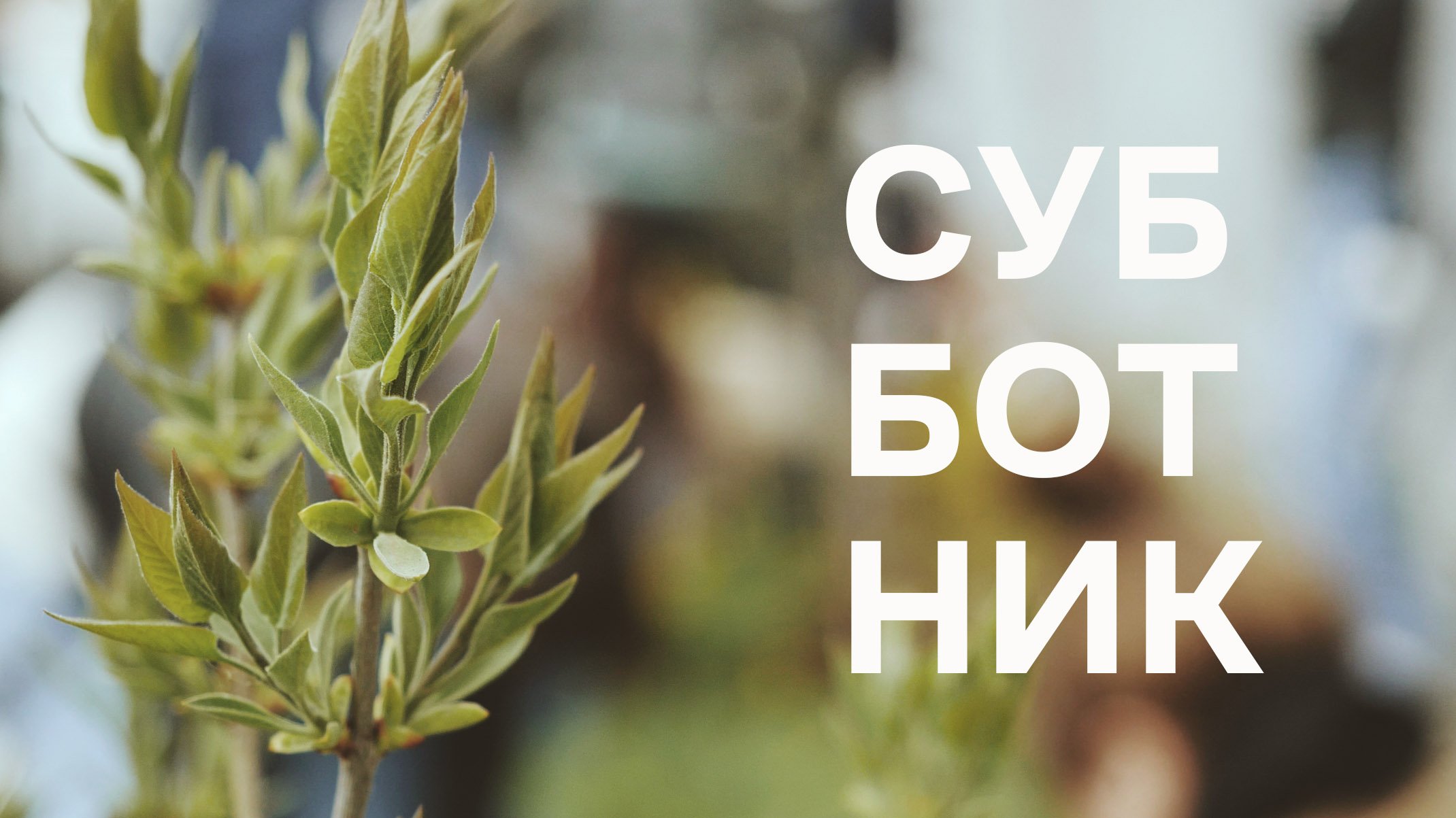 Позитивный субботник для сотрудников Дом.ру