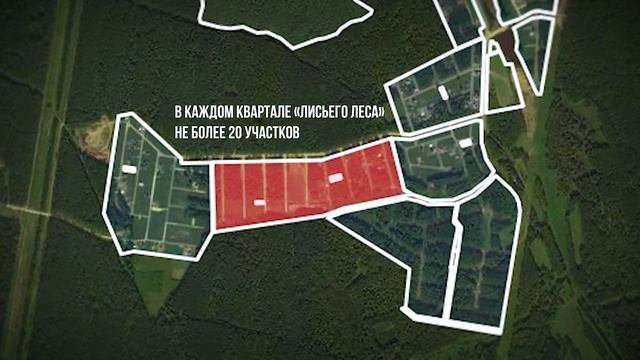 Коттеджный поселок "Лисий лес", группа поселков "Заповедник"