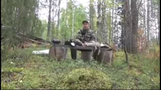 Работа онлайн. Помощь охотнику в управлении собакой. Спасибо, Сергей!