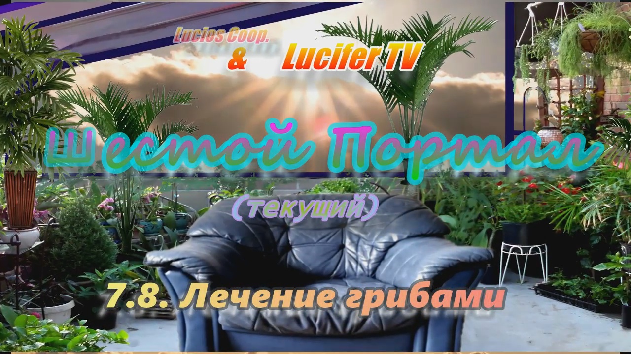 «Шестой Портал (текущий)»: 7.8. Лечение грибами