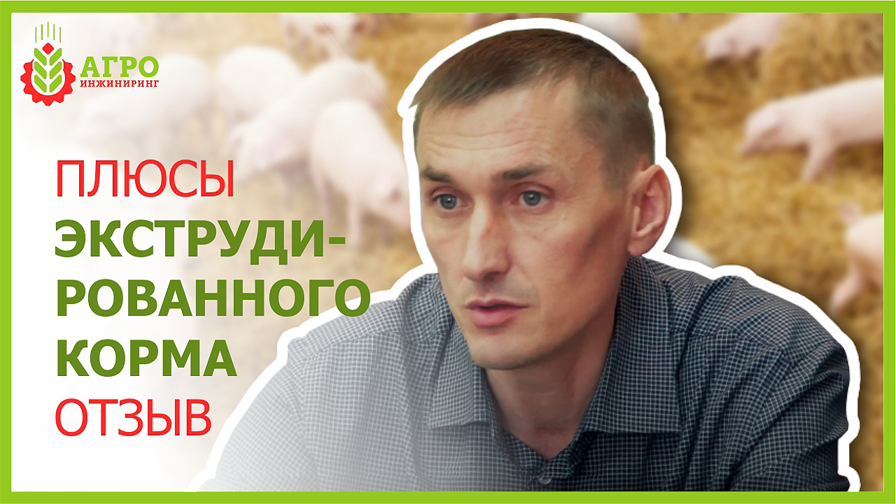 Отзыв о результатах перевода поросят на экструдированный корм.