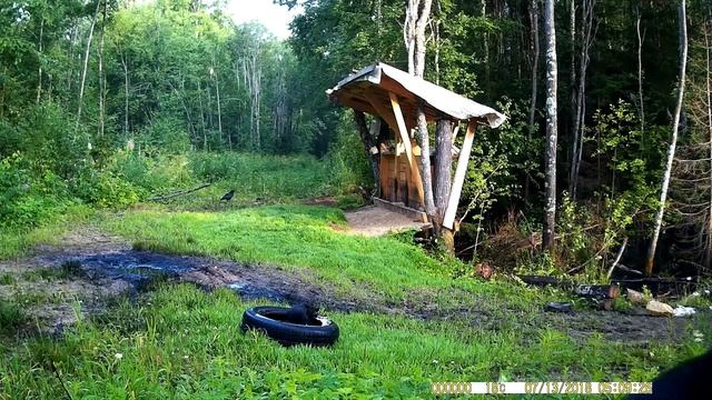 Птицы, запечатленные на фото ловушку. Часть № 34